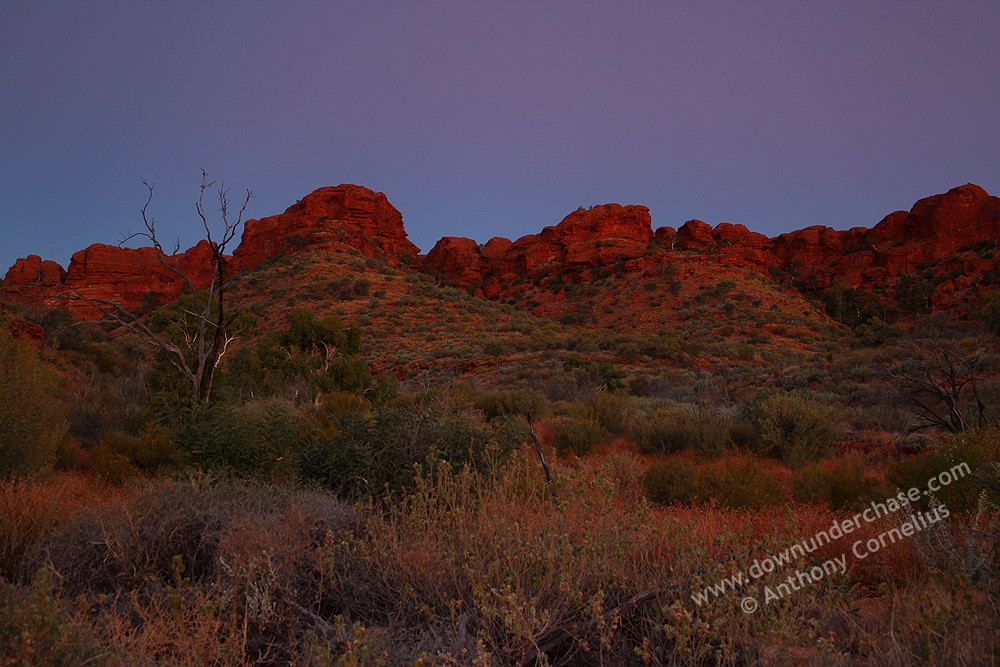 Landscape - Outback Australia