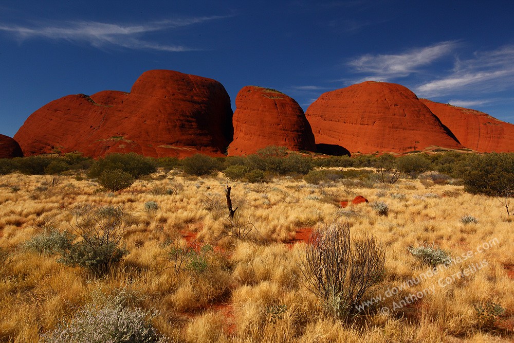Landscape - Outback Australia