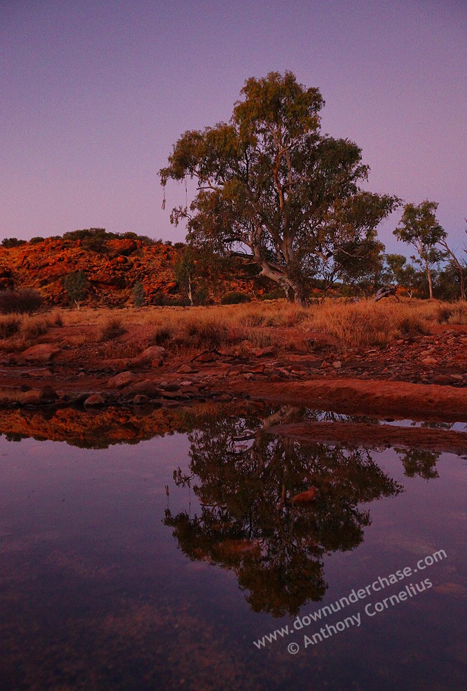 Landscape - Outback Australia