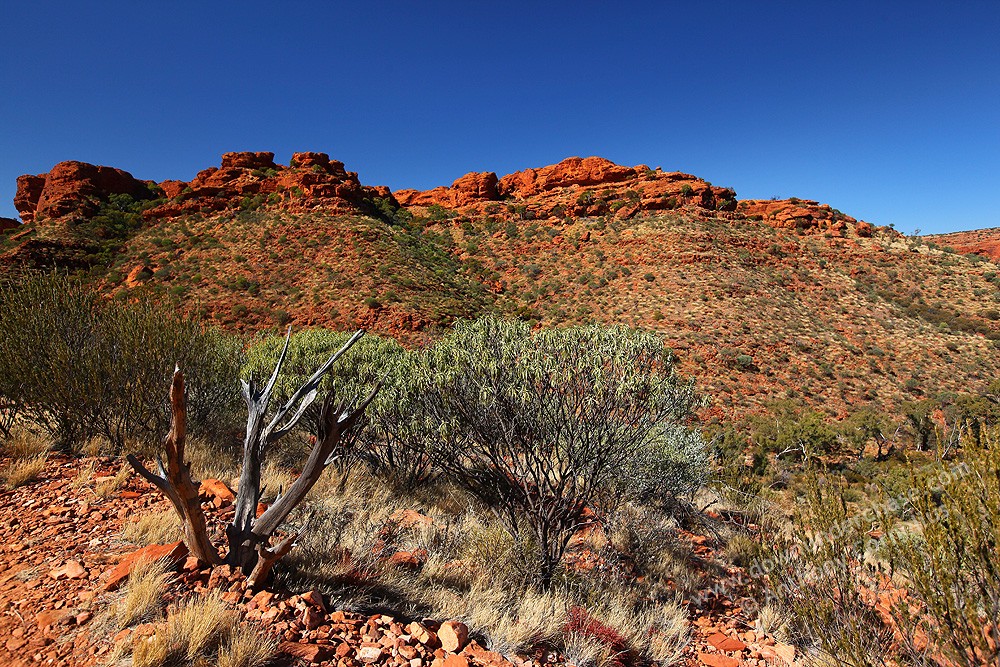 Landscape - Outback Australia